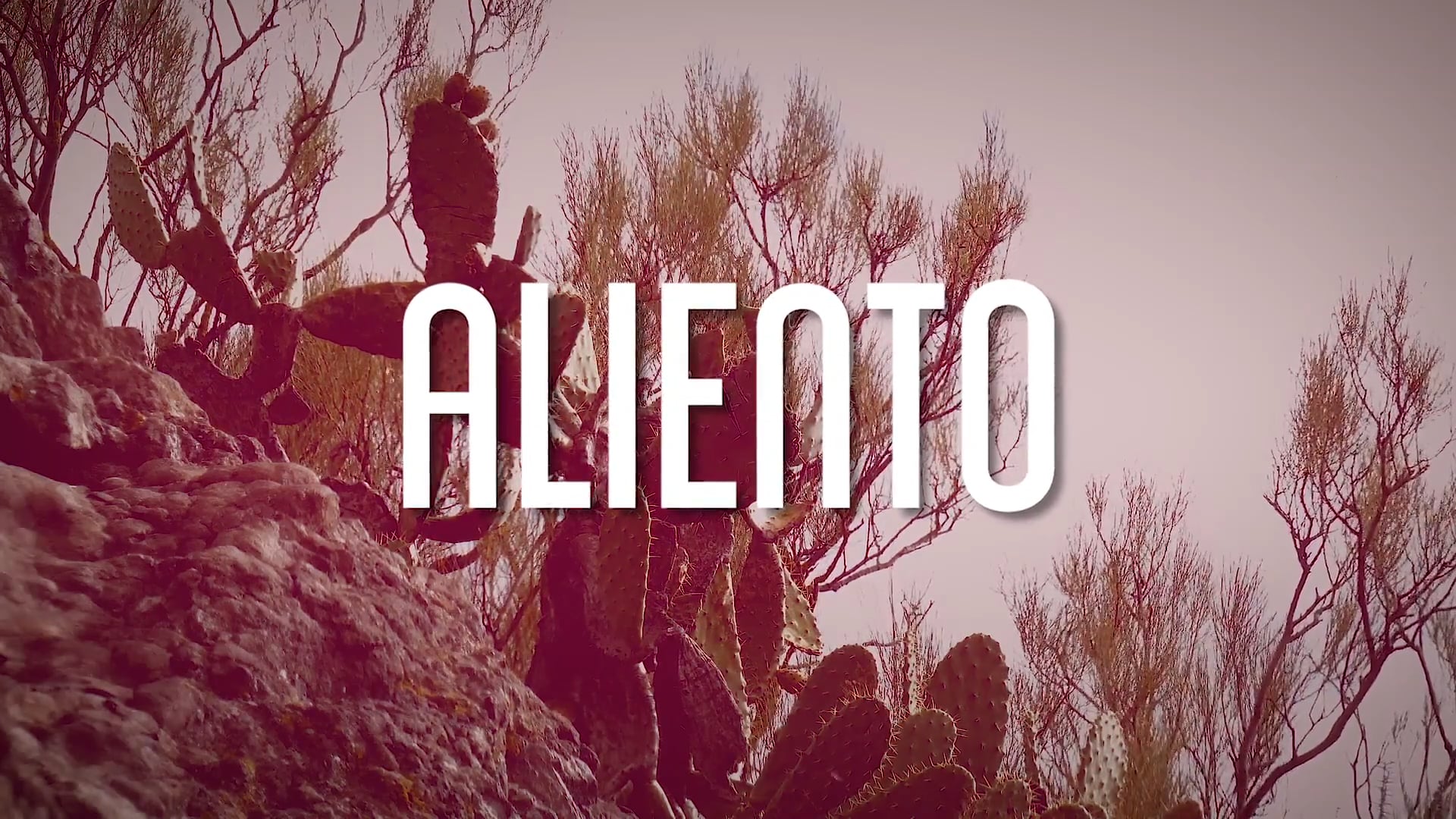 FMP 255 Final: Aliento @ ASU on Vimeo
