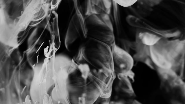 Monochrome, Liquid, Paint. Free Stock Video - Pixabay