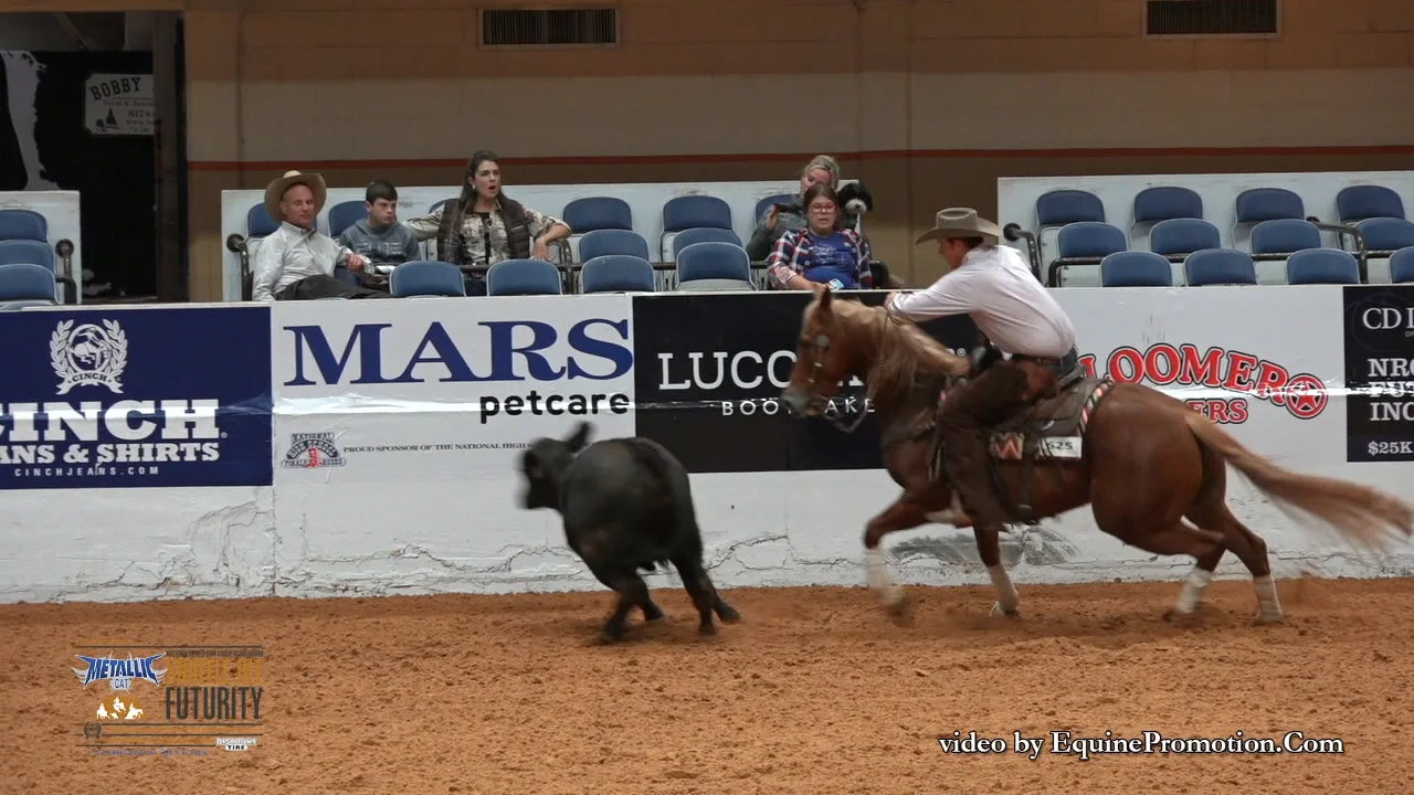 SV Whiskey Whiz ridden by Josh Briggs - 2019 NRCHA SBF Youth Bridle