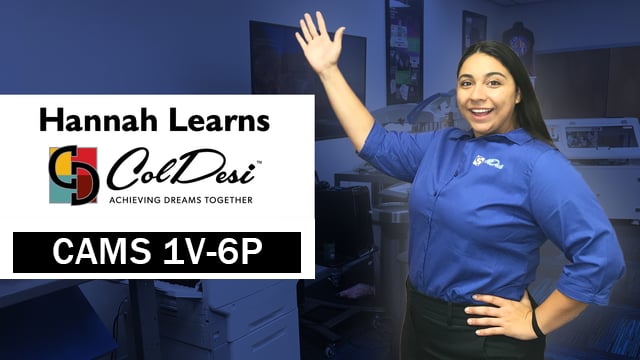 Automatic Rhinestone Setting Machines - ColDesi