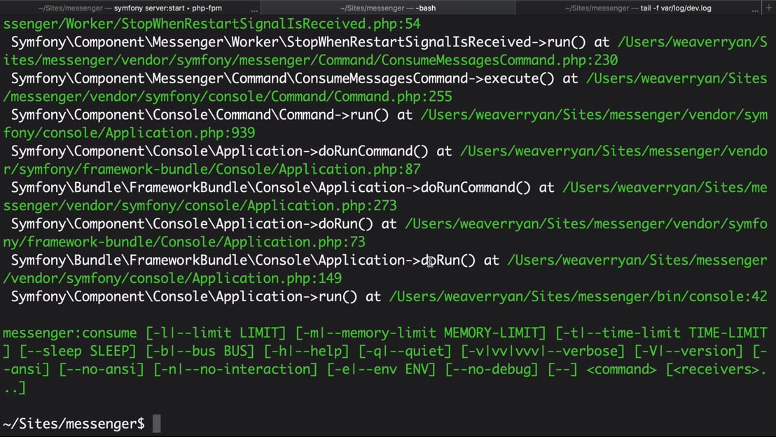 Graceful Failure in the Transport Serializer > Messenger! Queue work for Later | SymfonyCasts