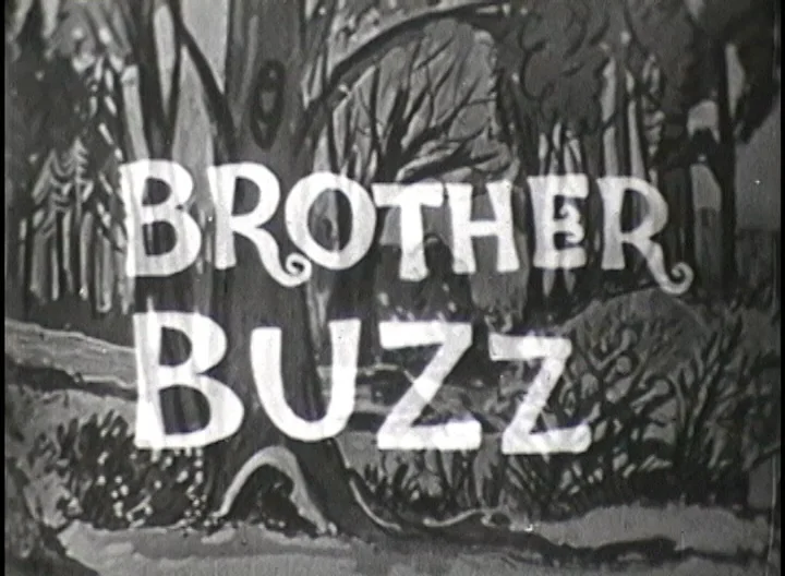 Brother Buzz TV Series - BroBuzz & Withit Openings & Intros on Vimeo