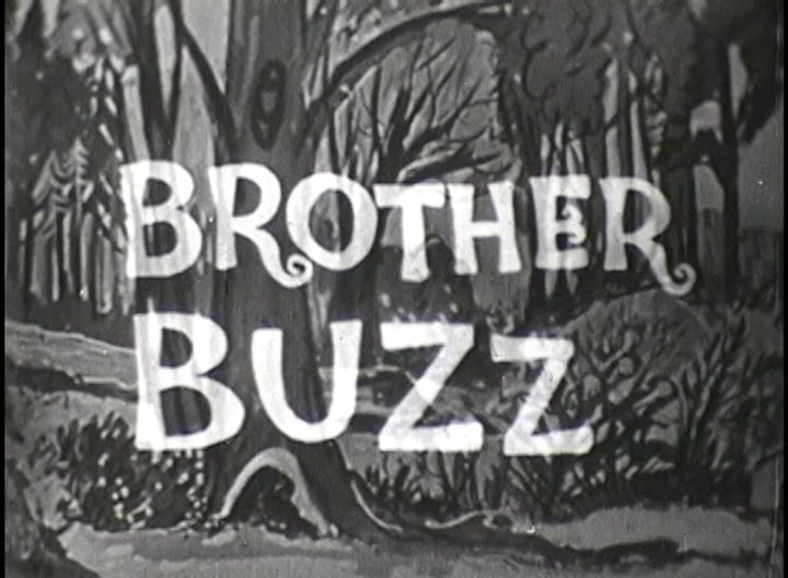 Brother Buzz TV Series - BroBuzz & Withit Openings & Intros on Vimeo