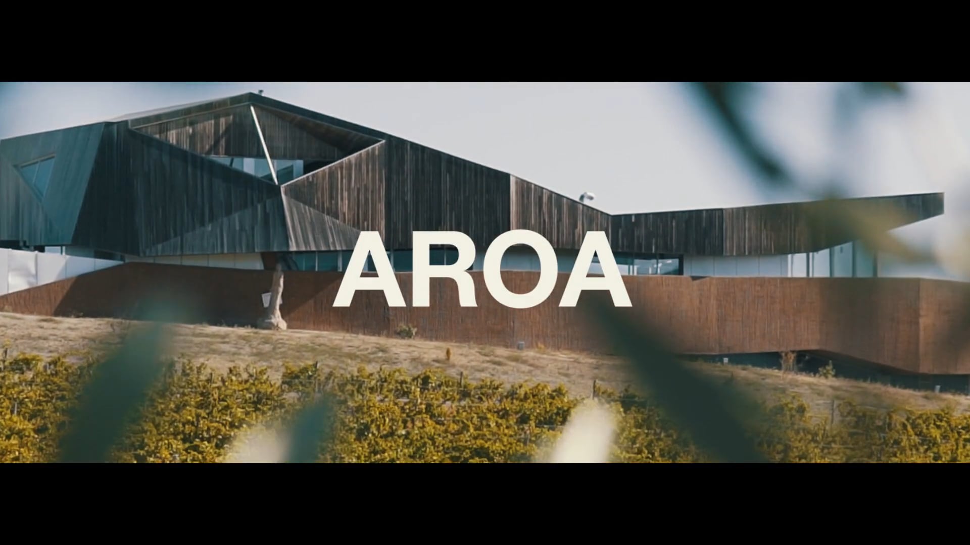 Aroa Bodegas, la naturaleza es la mejor enóloga on Vimeo