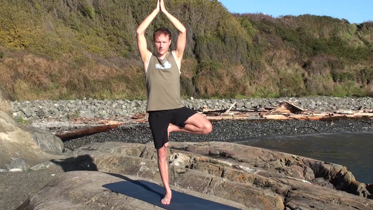 Tree Pose (Vrksasana) on Vimeo
