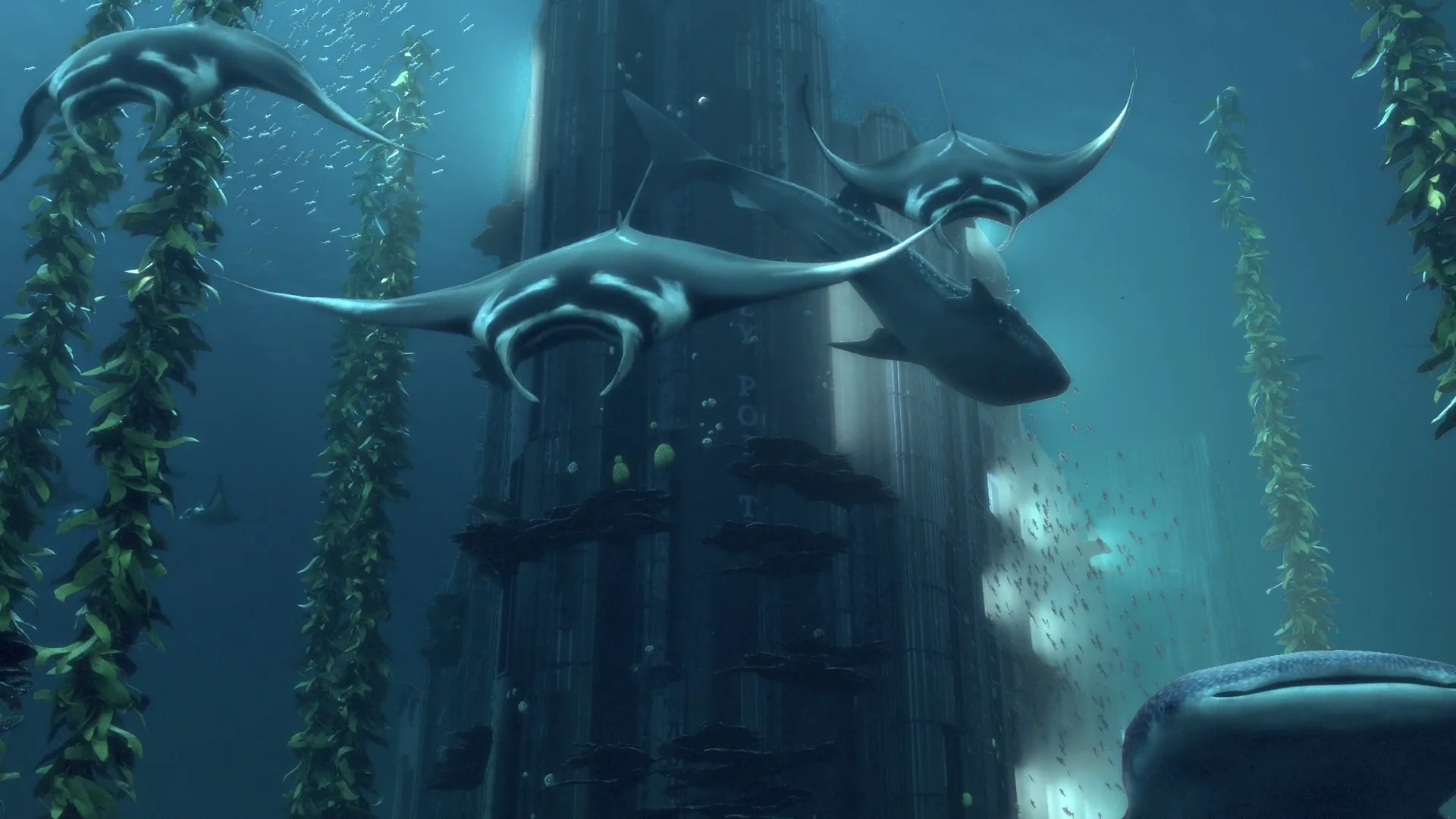 Masters Degree Show 2019 - Oceanscape on Vimeo