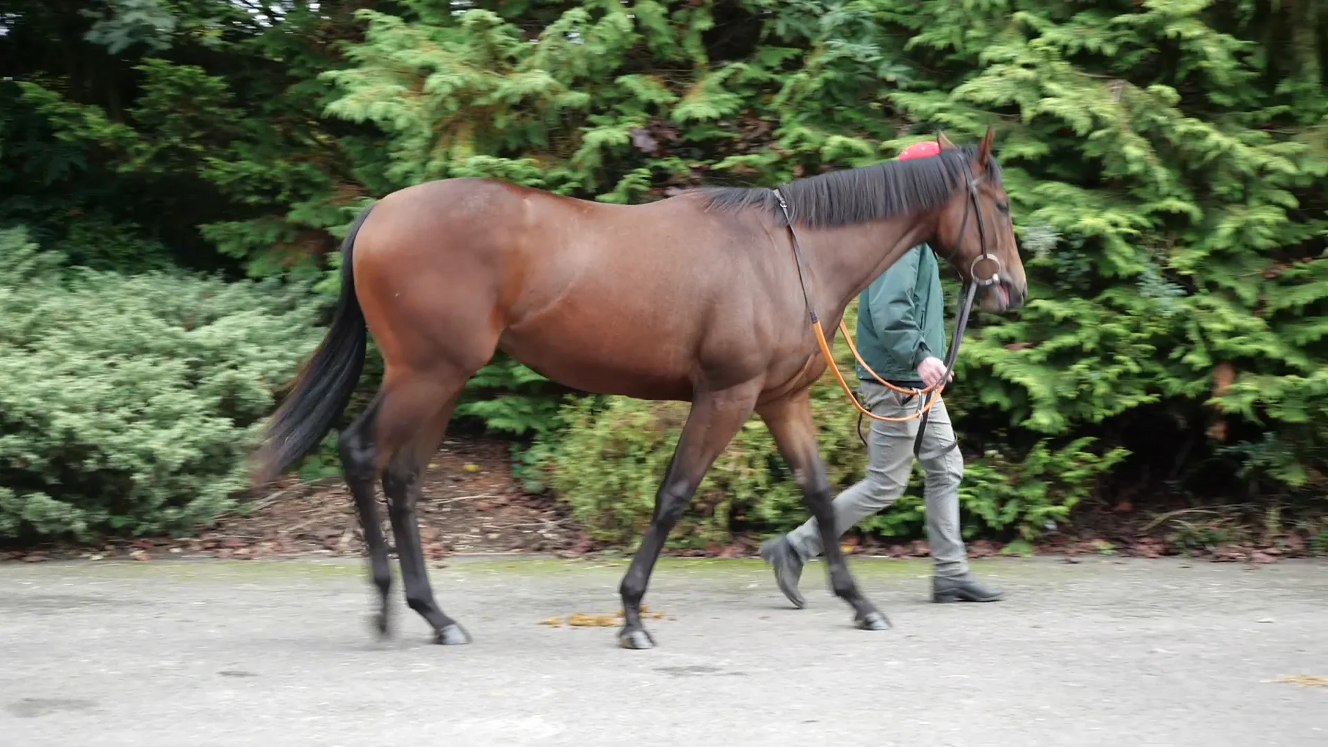 Oasis Dream x Super Sleuth on Vimeo