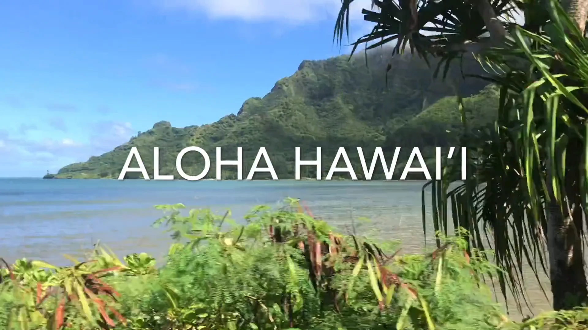 HAWAII 2019 on Vimeo