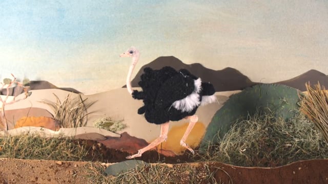 Animationsfilme Barbara Wilding on Vimeo