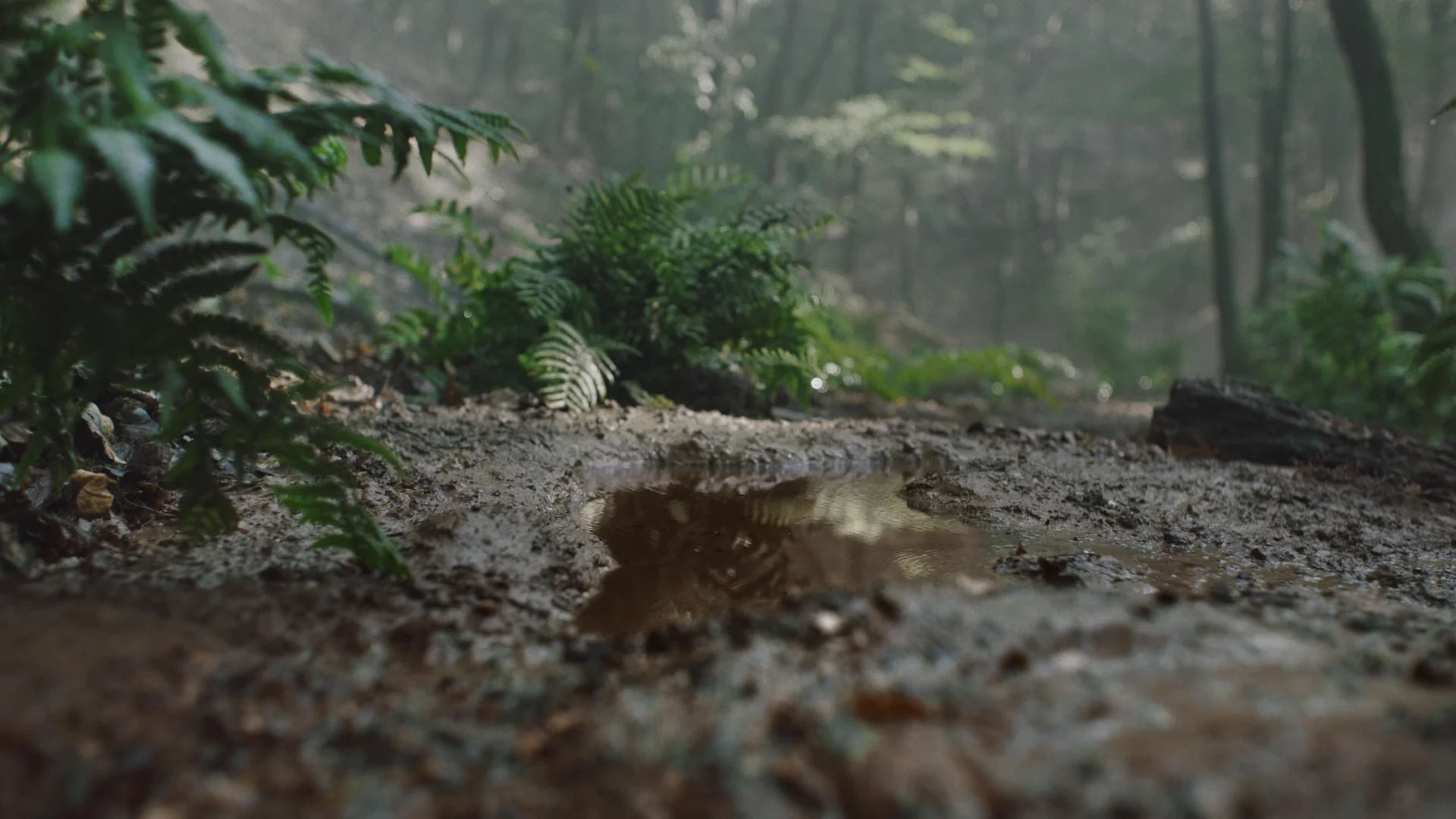 KAI - ALDI - Stampede on Vimeo
