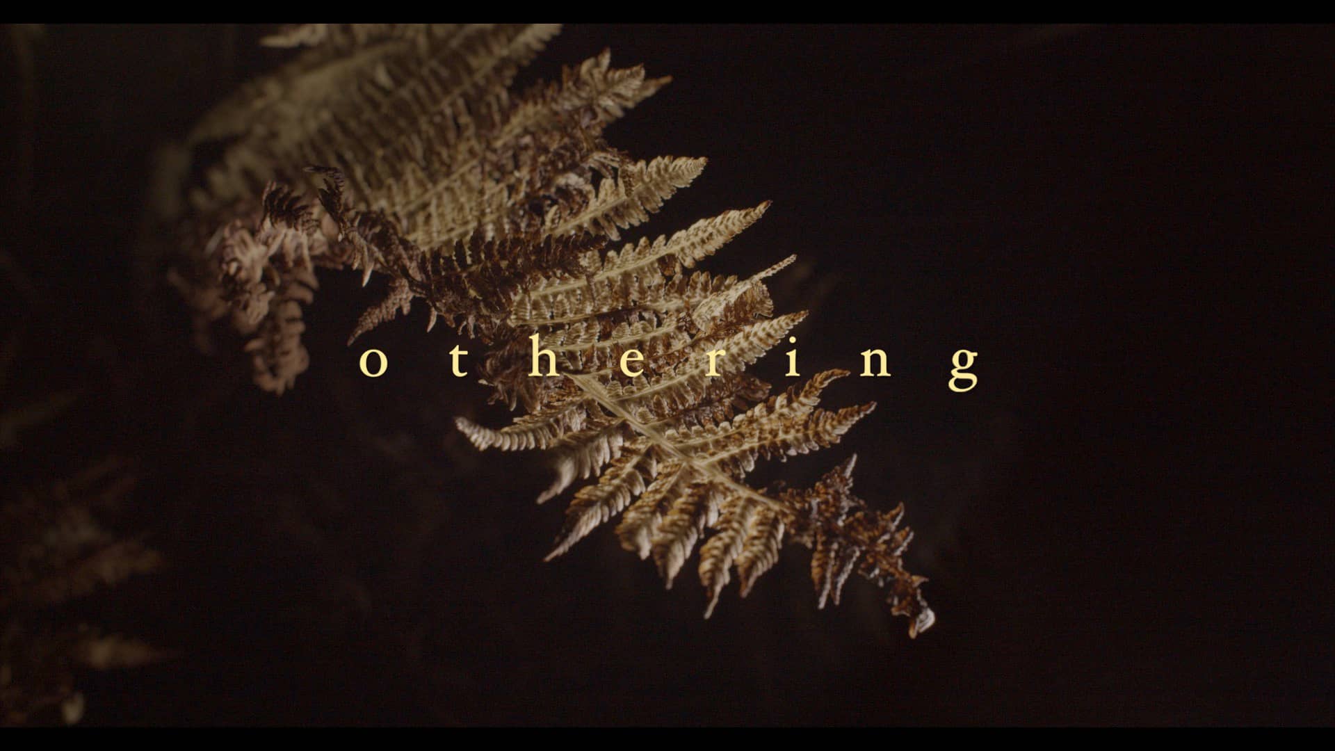 OTHERING on Vimeo