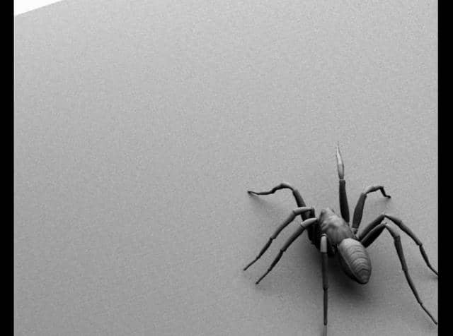 Spider Walk Cycle on Vimeo