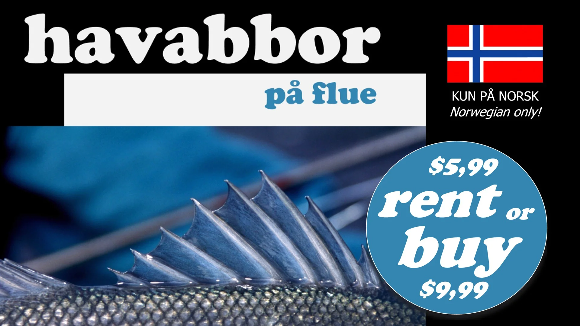 Watch havabbor på flue - seabass on a fly - vimeo on demand Online ...