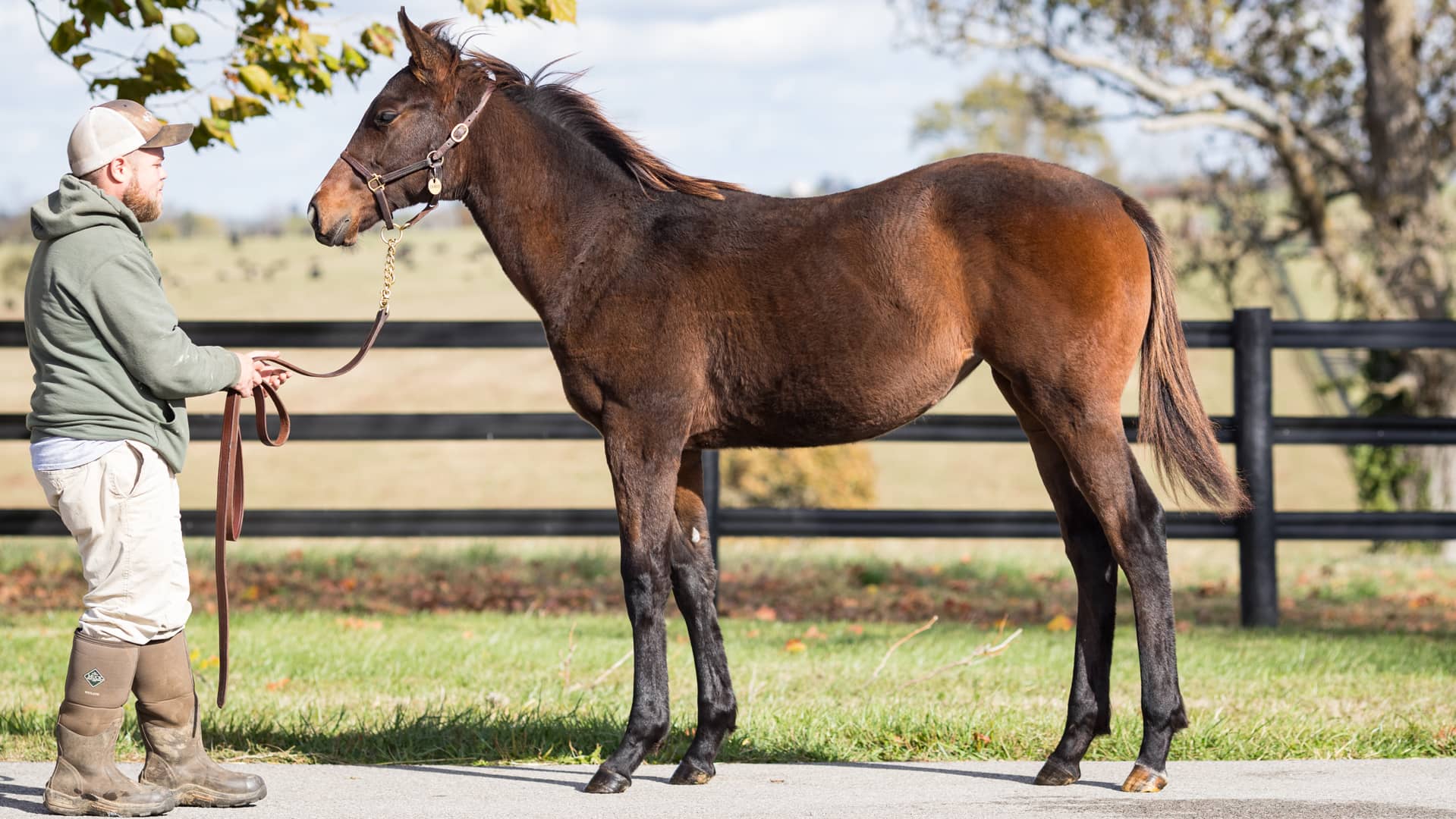 Gun Runner - Remembered '19 on Vimeo