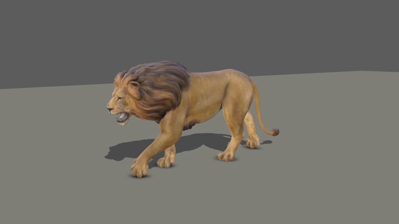 Lion walkcycle study. on Vimeo