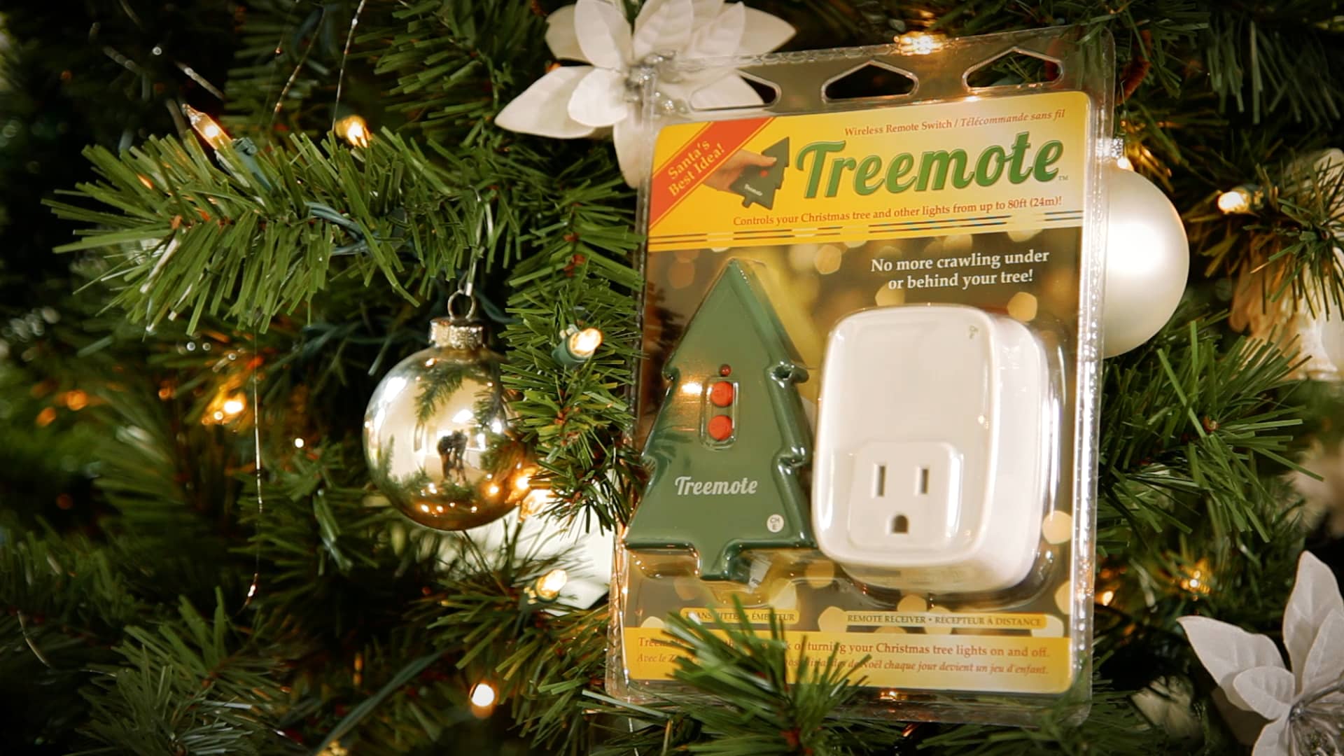 TREEMOTE US INDOOR 2019 on Vimeo