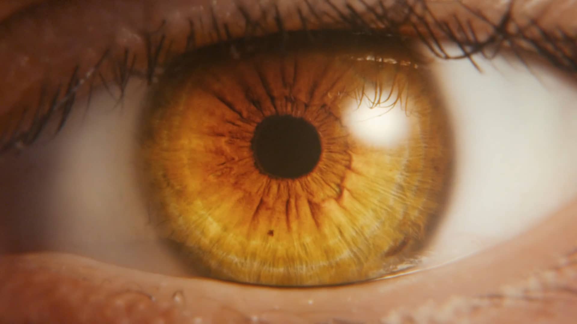 Dell "Seeing More" on Vimeo