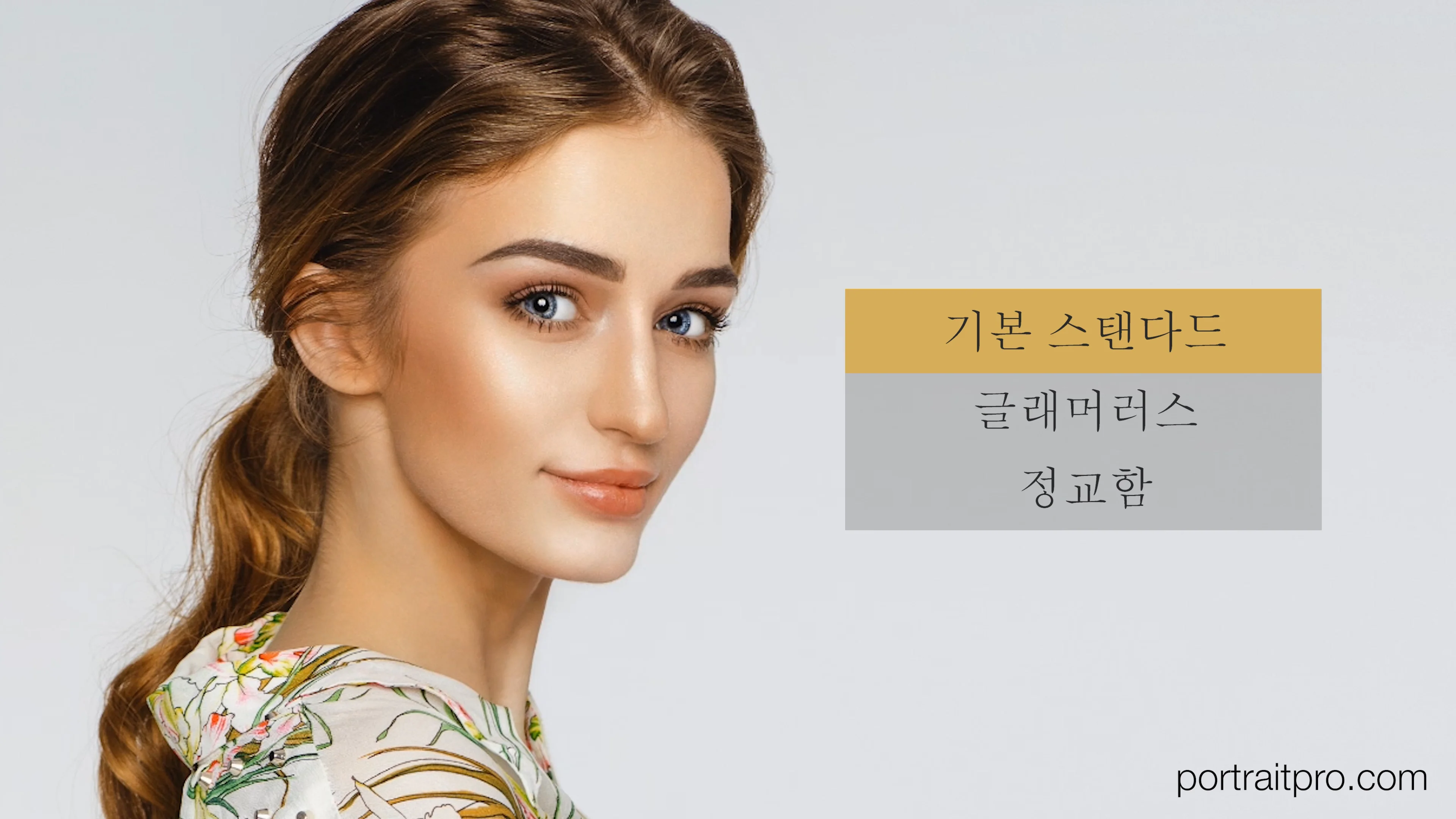 PortraitPro 19 Presets - KO on Vimeo