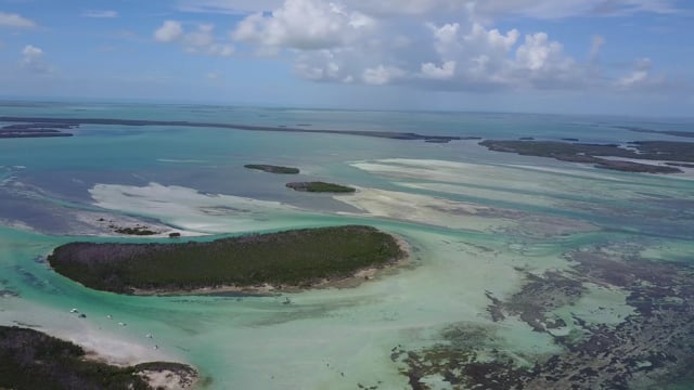Florida Keys Islands Back Country - Free video on Pixabay