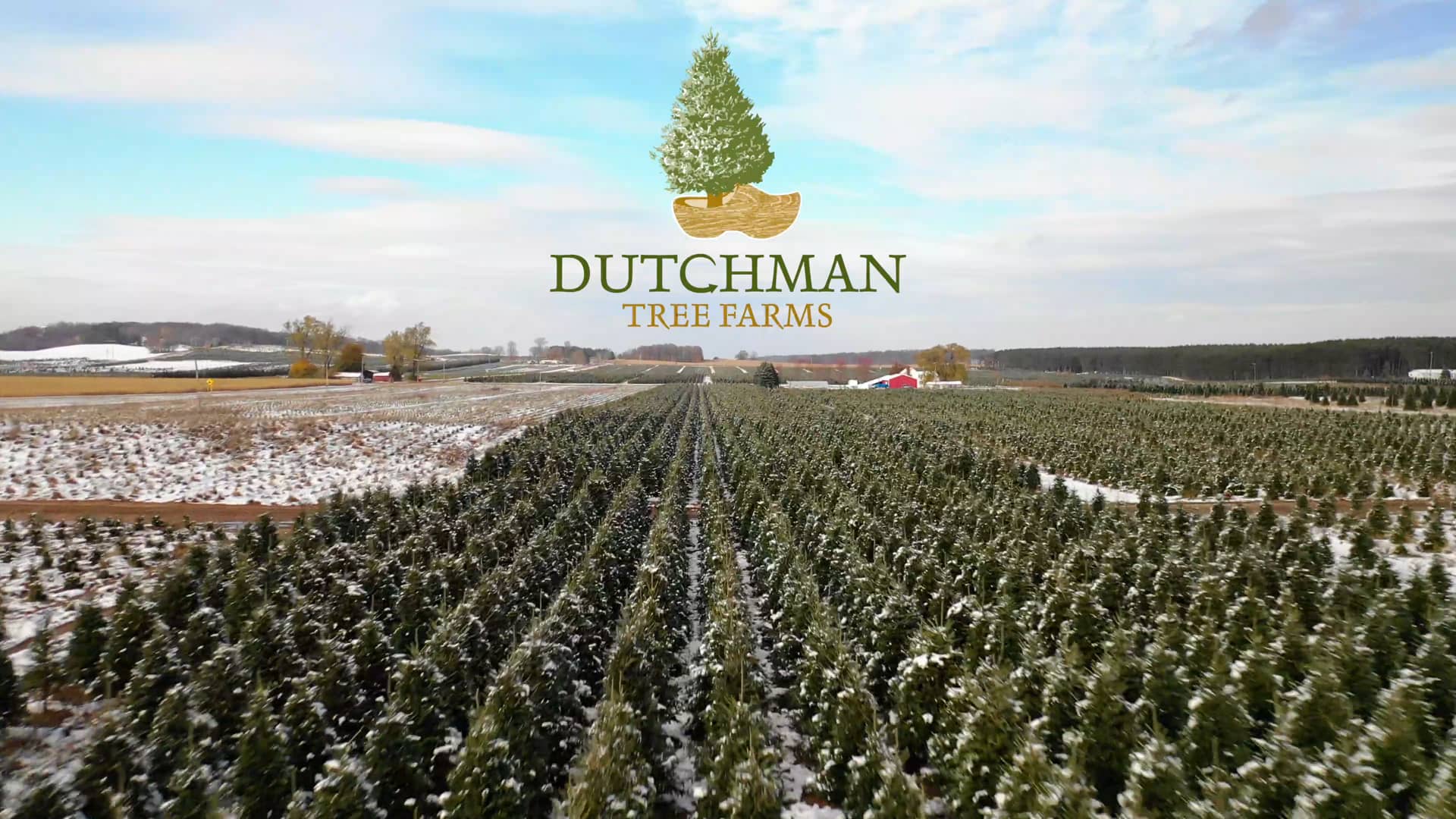 Dutchman Tree Farms Harvest November 1, 2019 on Vimeo