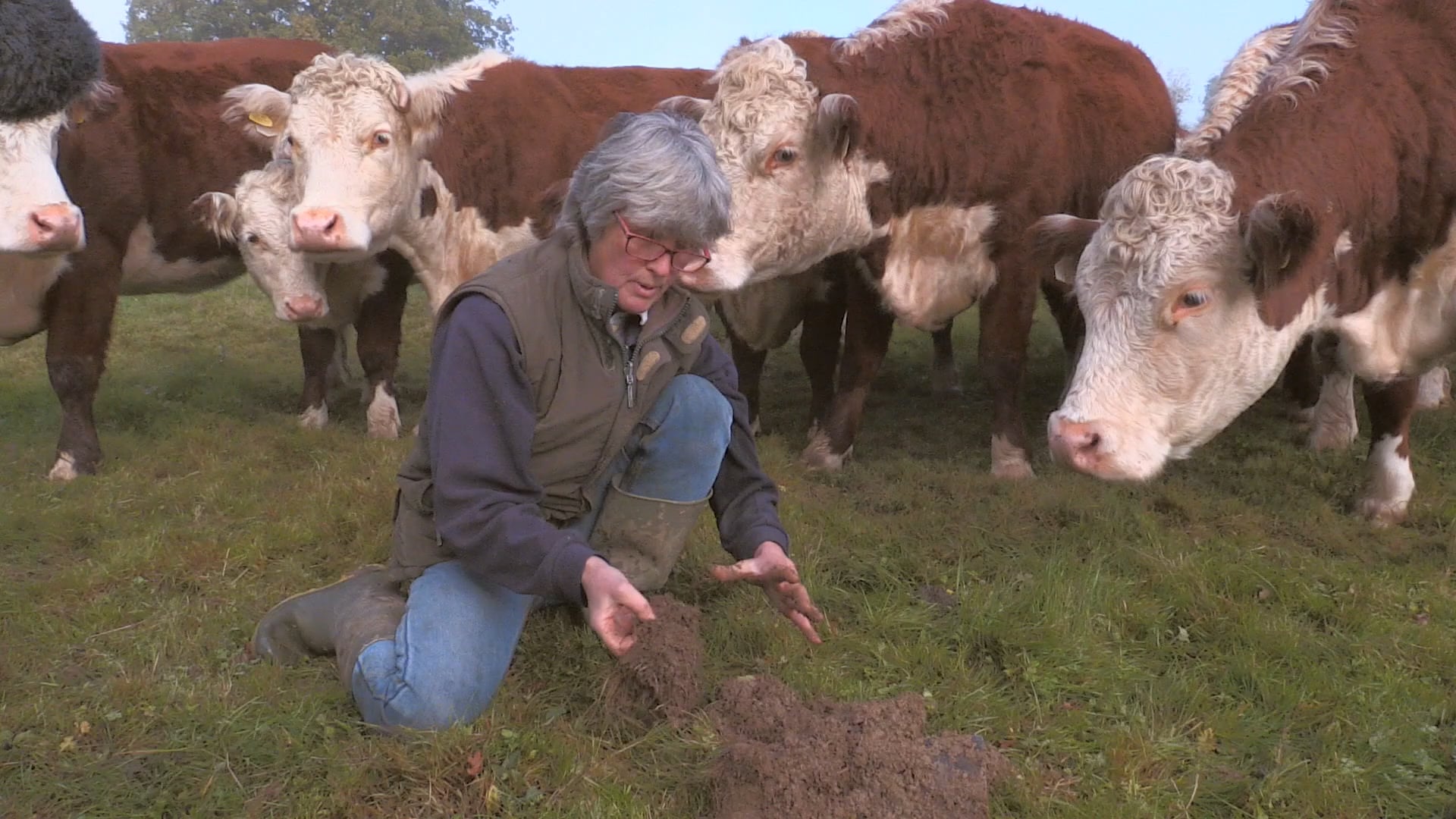 Romshed Farm on Vimeo