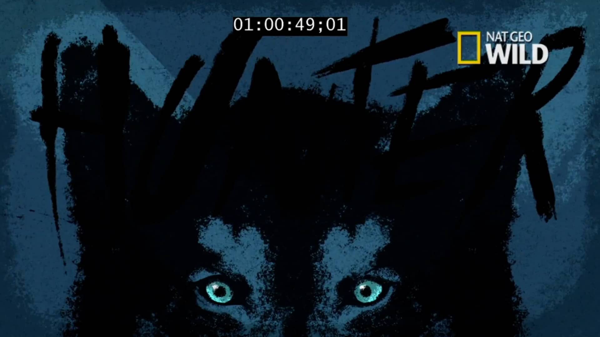 Hunter vs Hunted on Vimeo