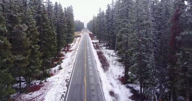Road, Snow, Trees. Free Stock Video - Pixabay