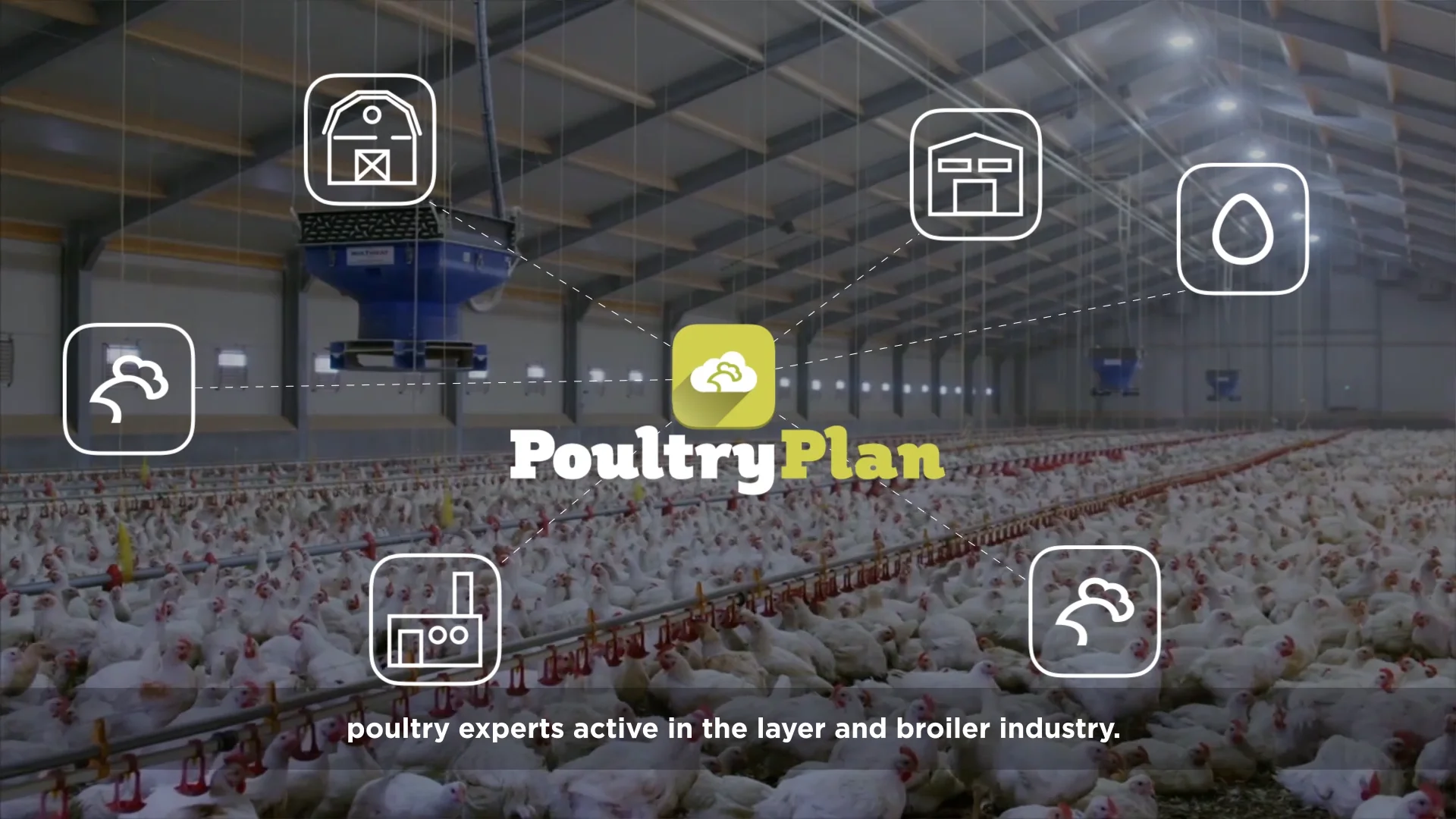 Poultry plan (stockbeelden en animatie) on Vimeo