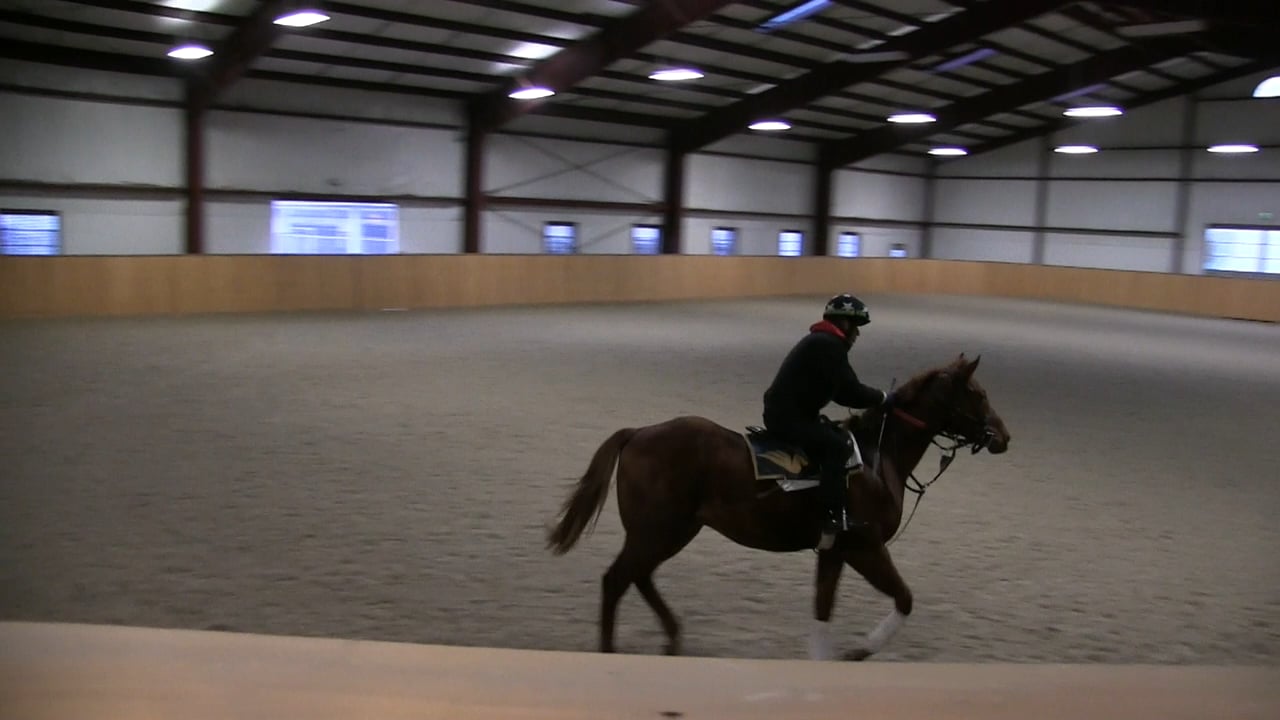 Castinette Dancer '18 Training 11-6-19 on Vimeo