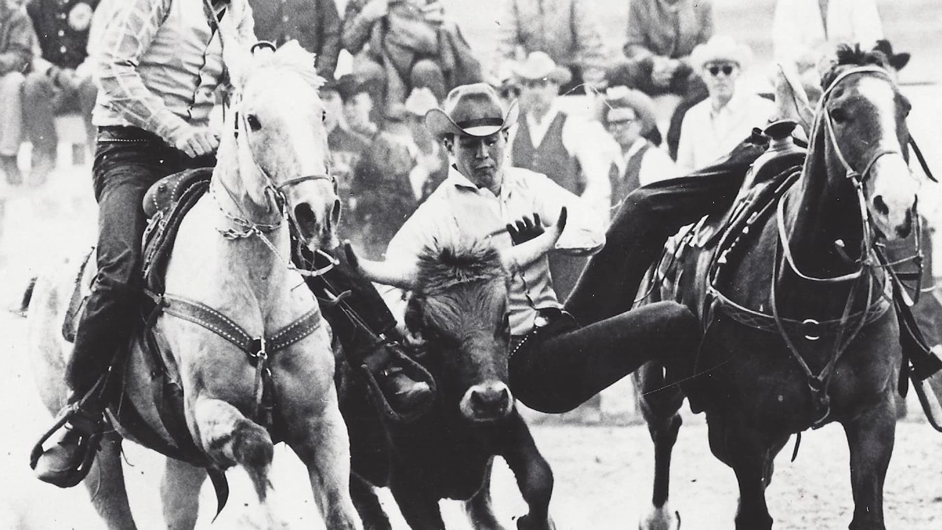 FRANK E SHEPPERSON on Vimeo