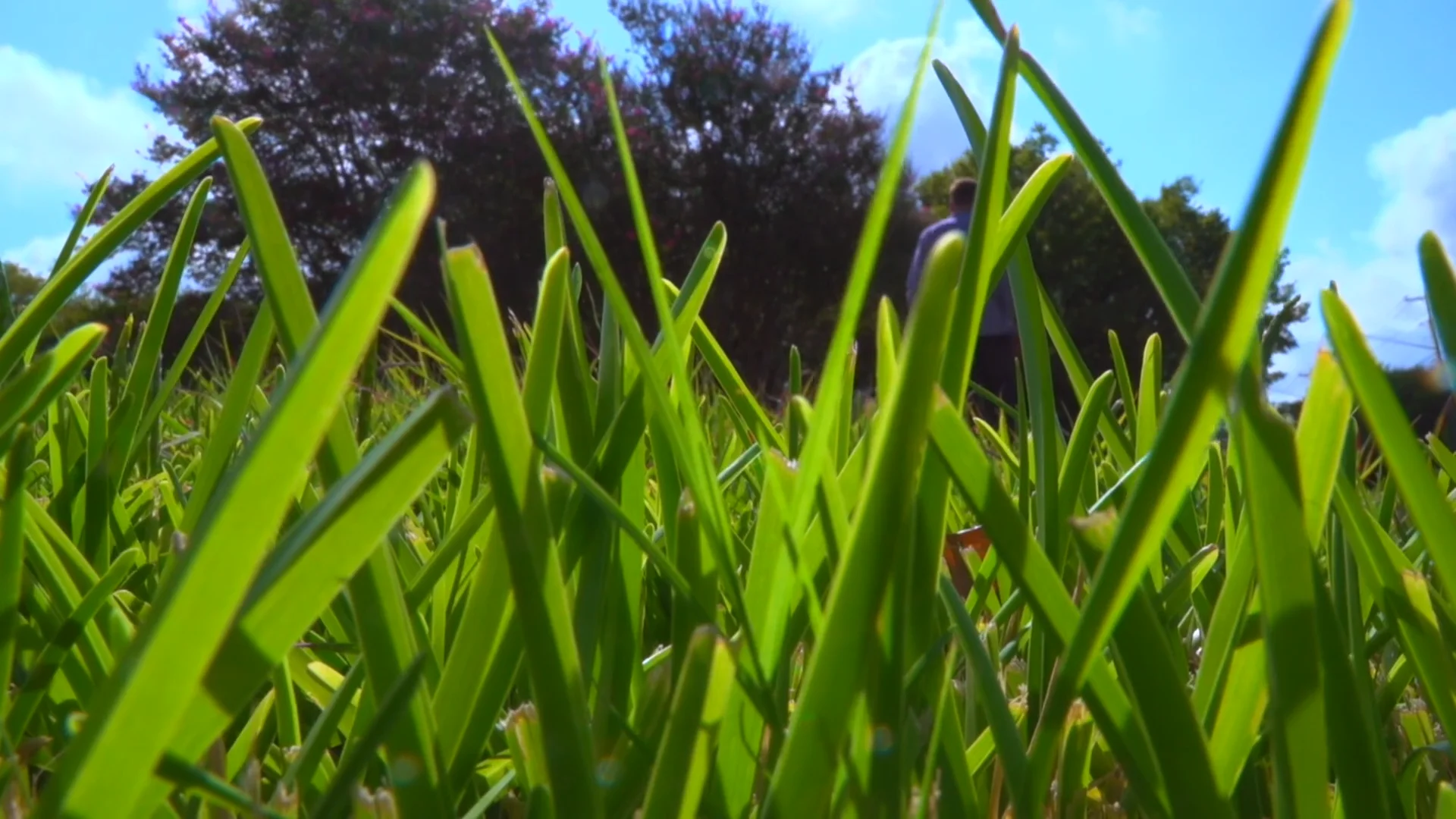 Stef Manisero - Sports - Stef Manisero "Austin FC Groundskeeper" on Vimeo