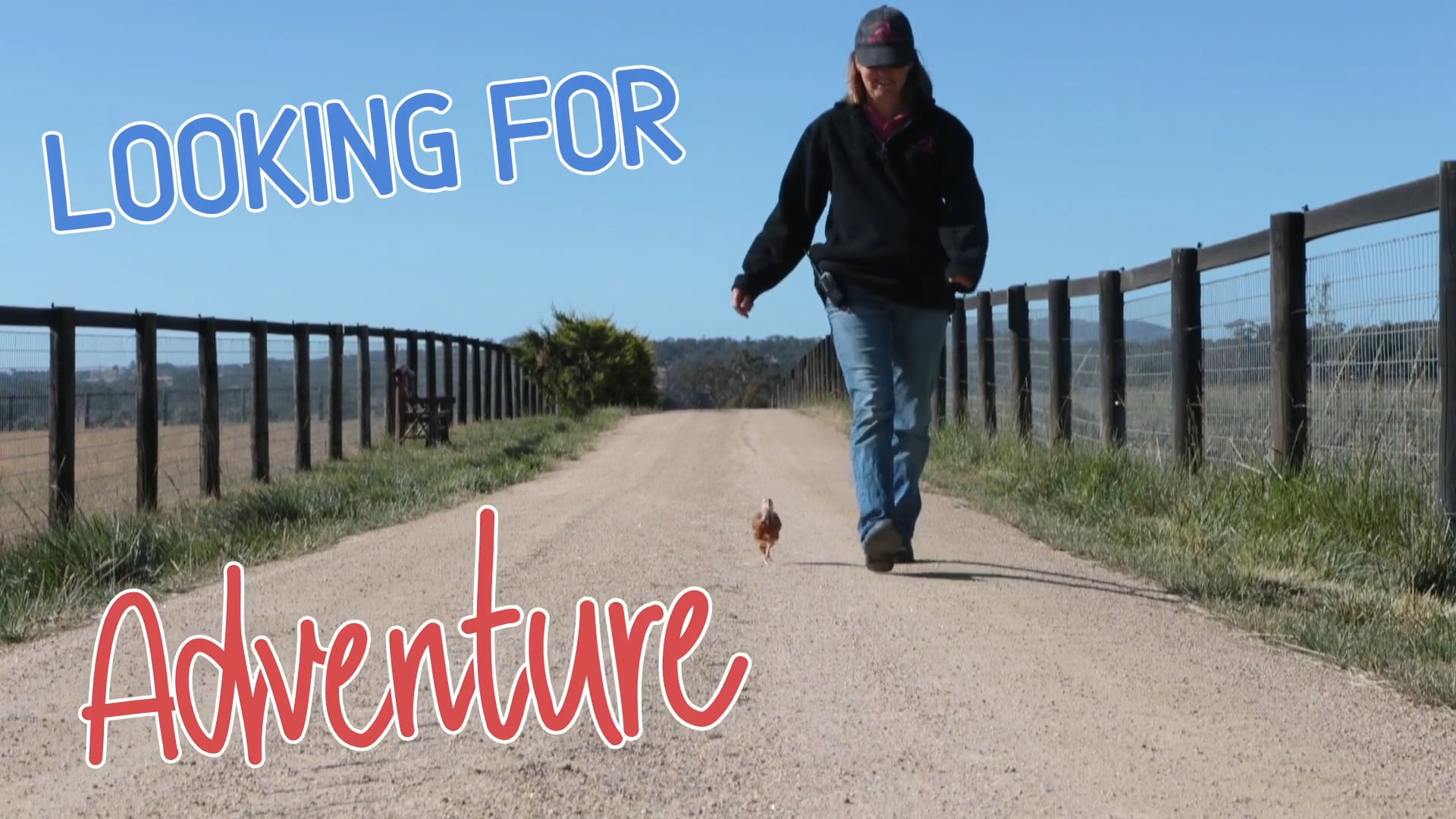 Looking for Adventure