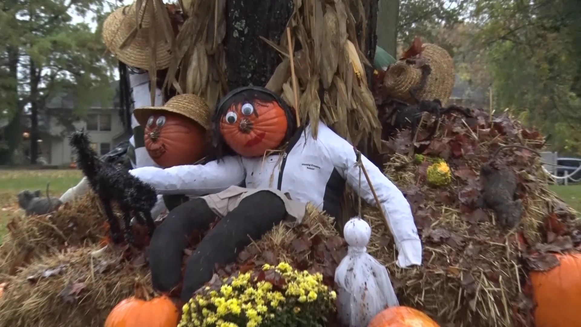 Halloween 19 on Vimeo