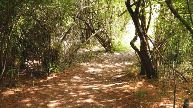 Walking Away Videos: Download 14+ Free 4K & HD Stock Footage Clips ...