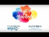 What is the Guardian Angel program