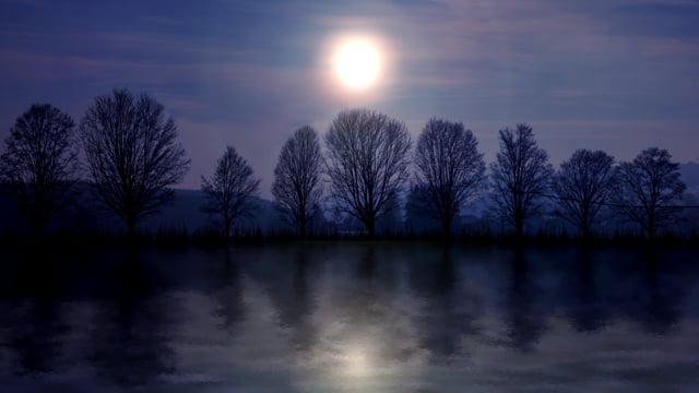 Moon Lake Forest - Free video on Pixabay