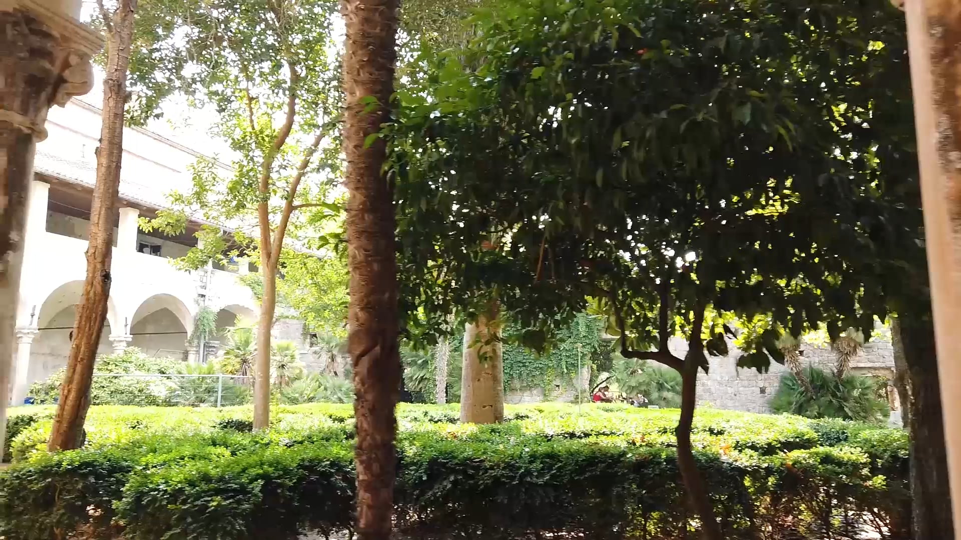 Patrick & Nikita on Vimeo