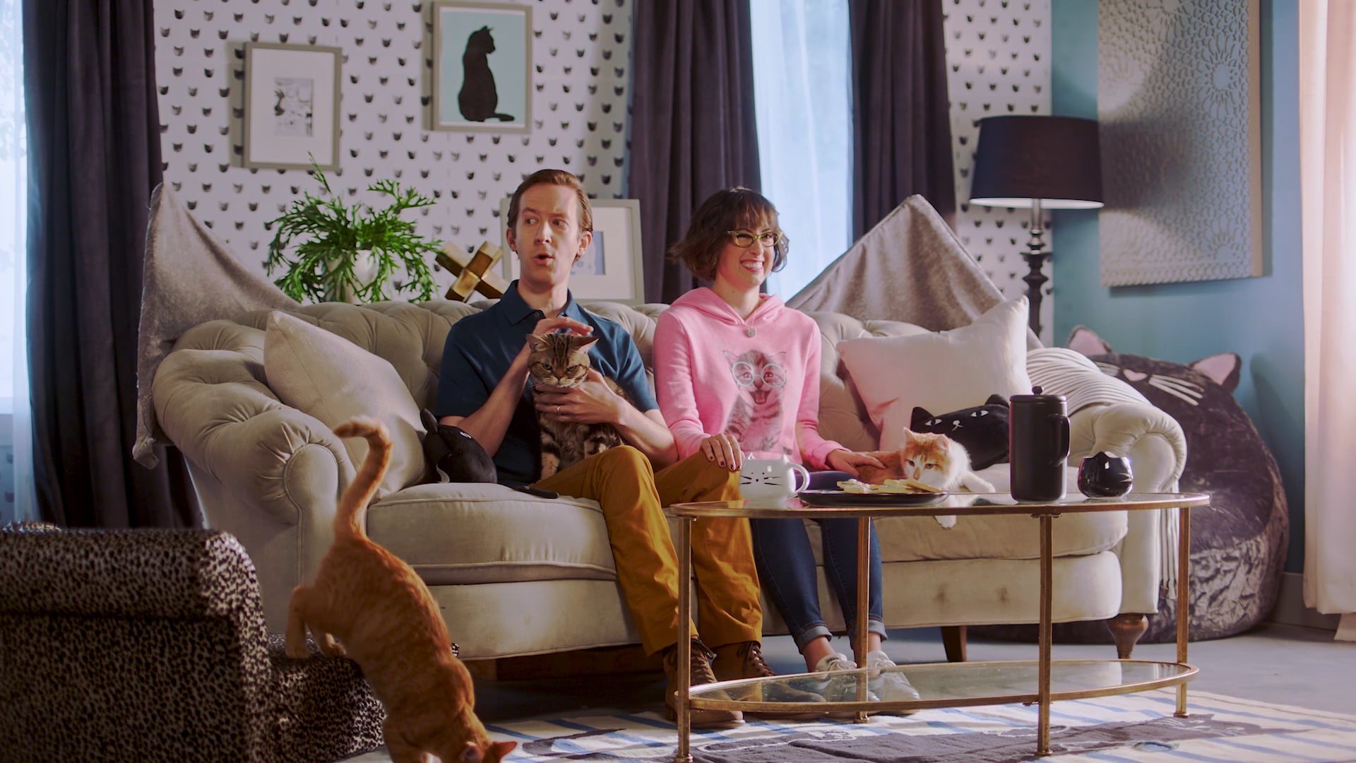 GEICO Believe It "Cat-temporary" on Vimeo