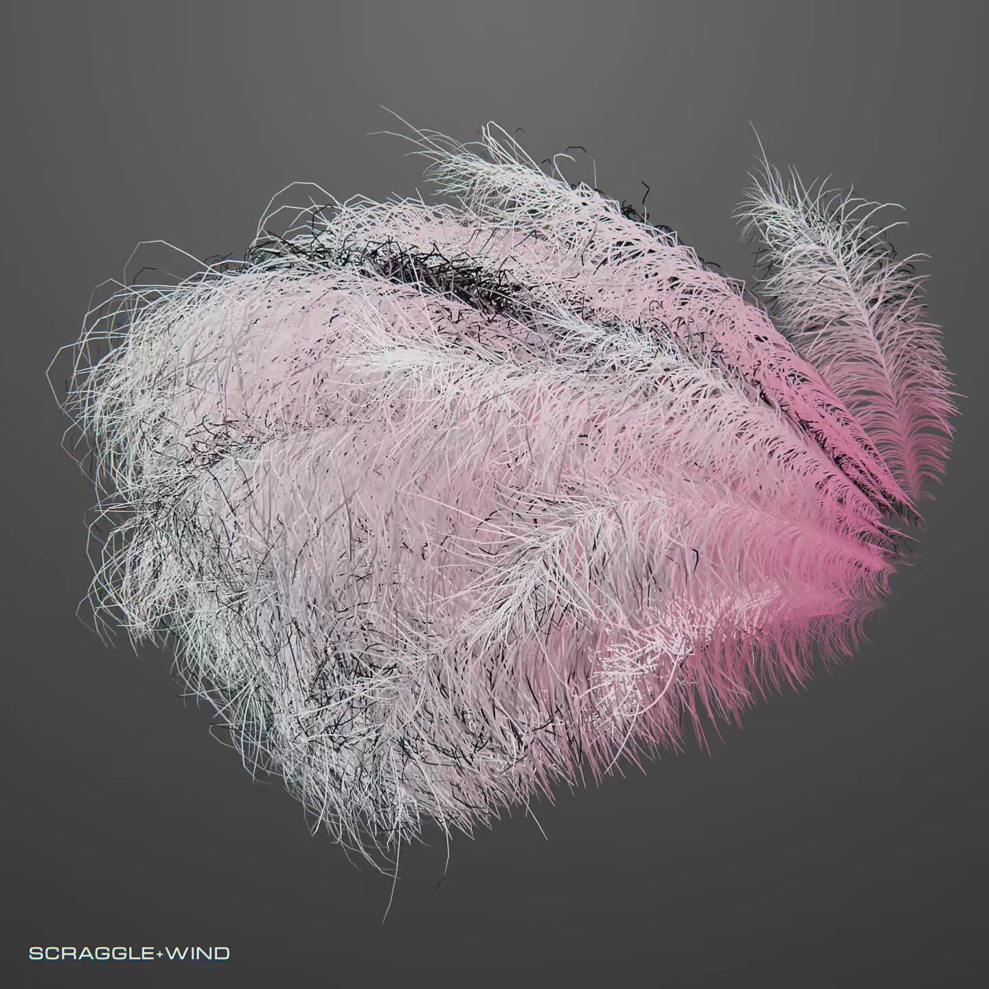 Model and groom the feathers on a Somali ostrich with Maya & Yeti - By Yuriy Dulich - alongFea ...