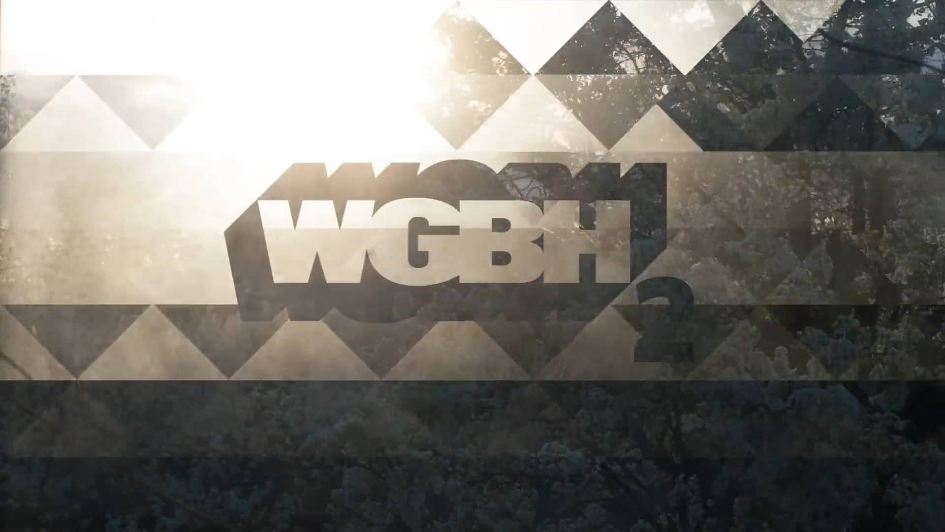 WGBH ID flower 2 on Vimeo