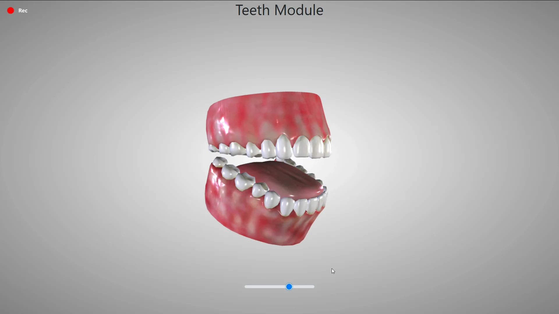 Teeth module Three.js WebGL