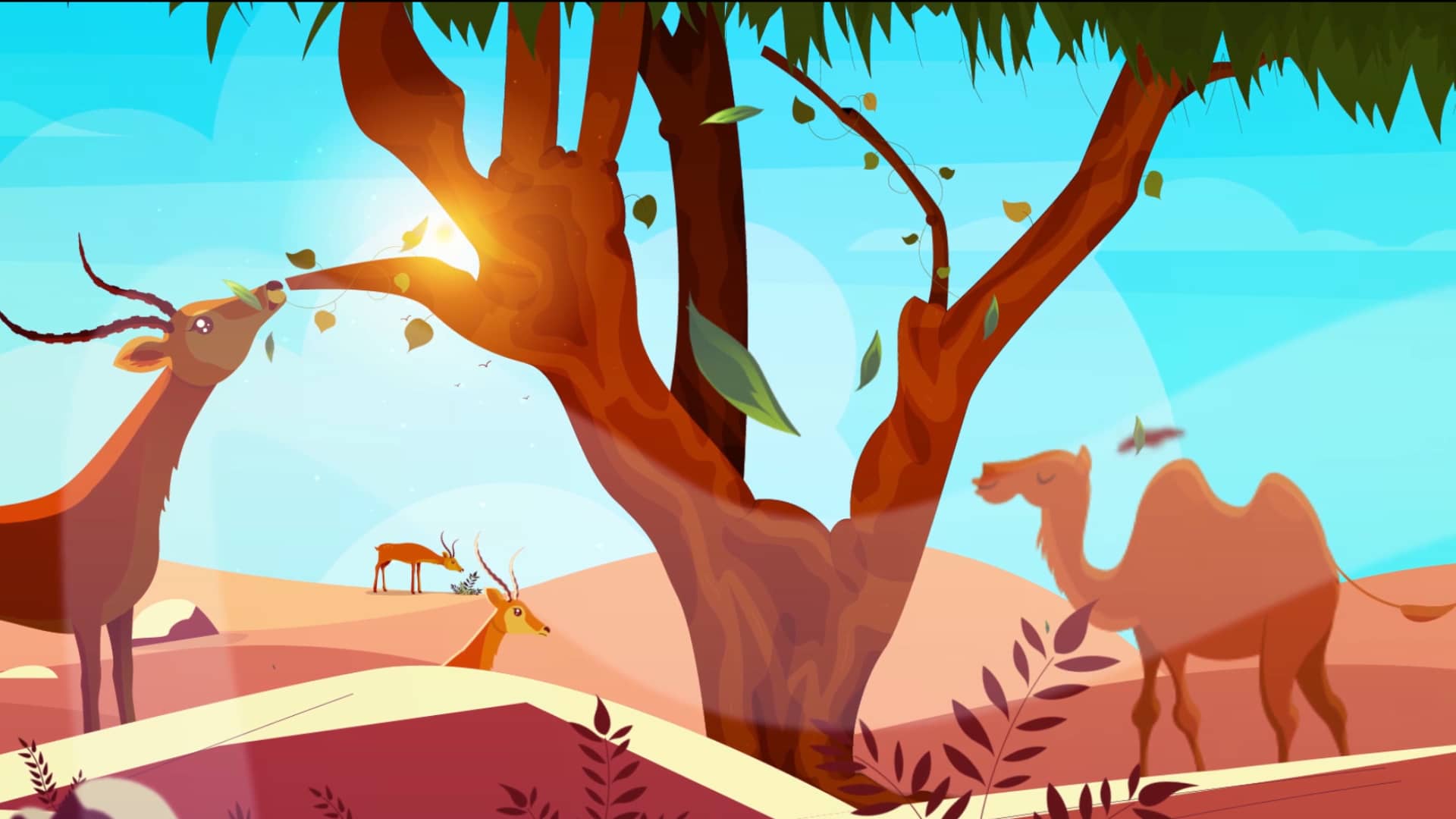 Prosopis tree on Vimeo