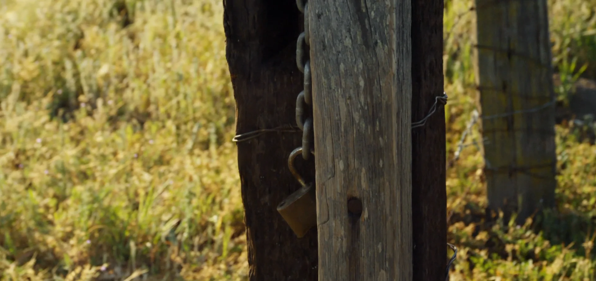 Laurence Dunmore - Chobani - Family on Vimeo