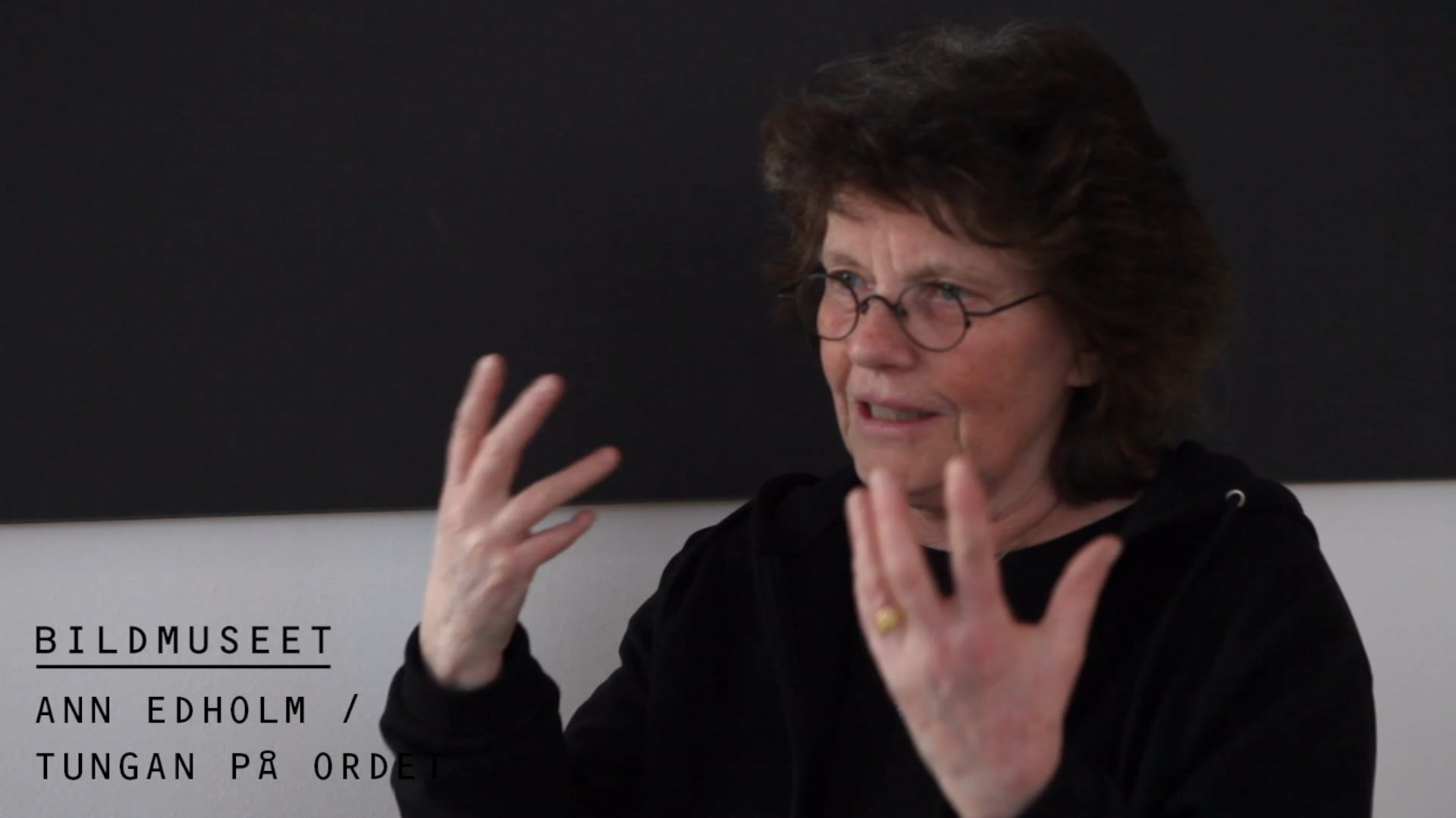 Konstnärs-intervjuer