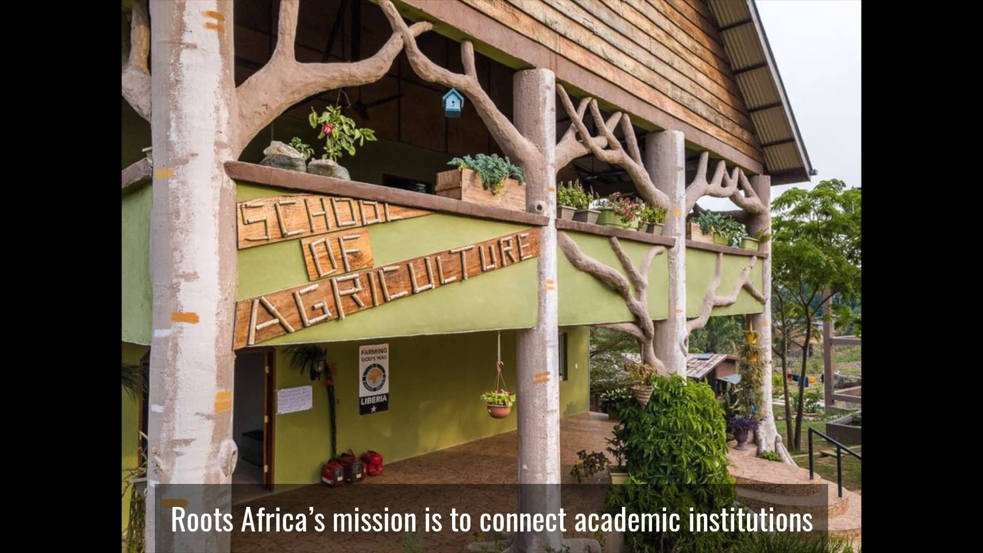 Roots Africa on Vimeo