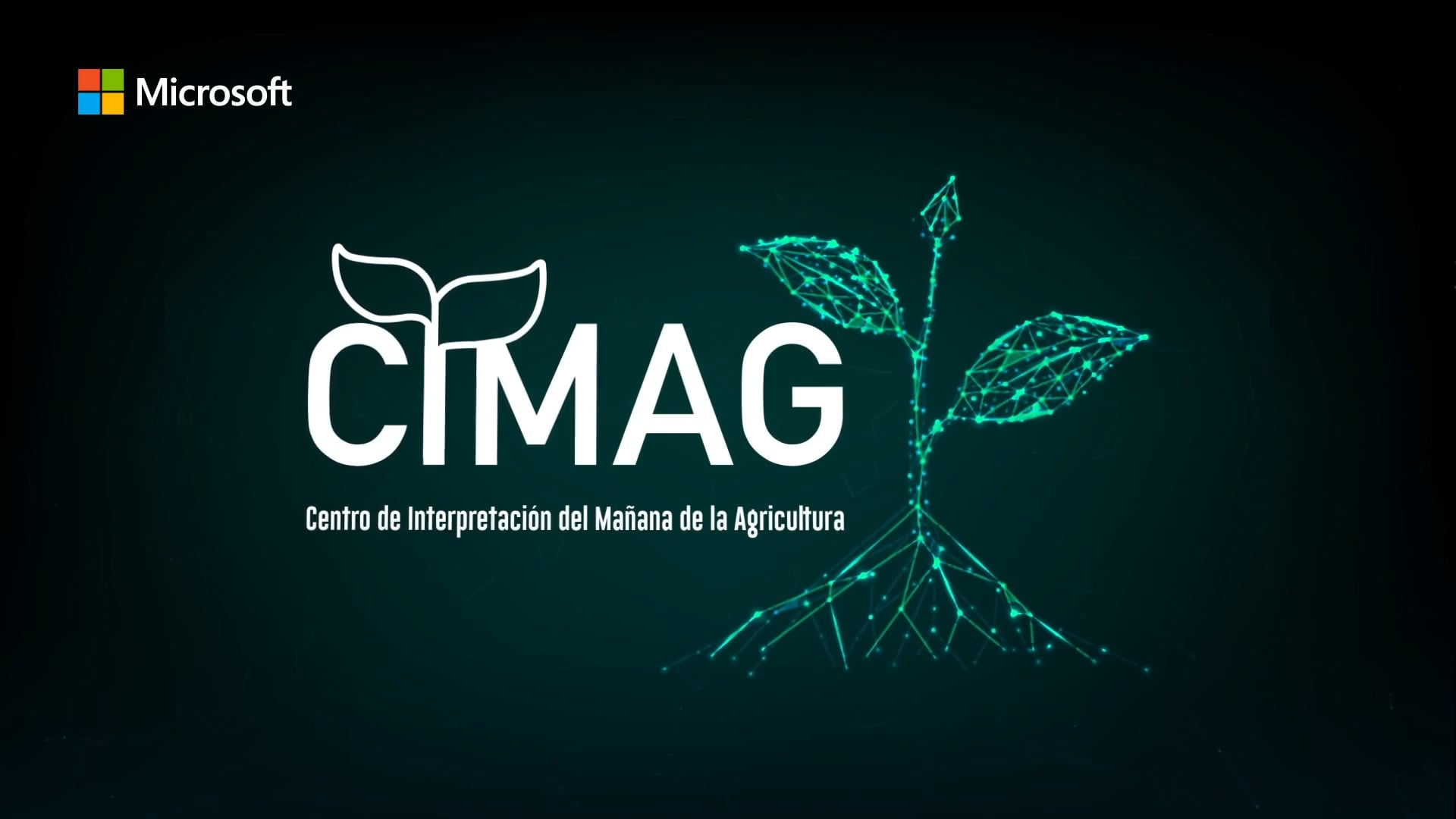 El CIMAG | Cimag