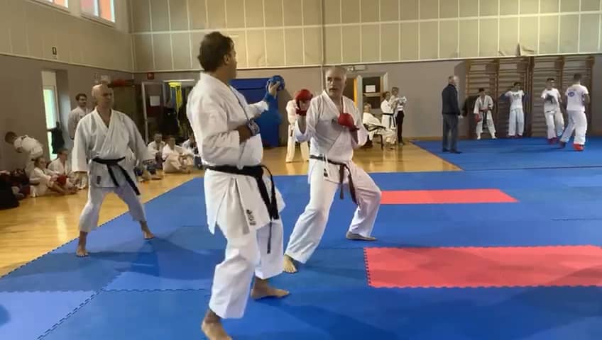 LABORATORIO KARATE ( KUMITE) on Vimeo