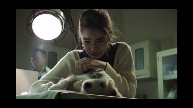 Sara Boustany - Demo Reel on Vimeo