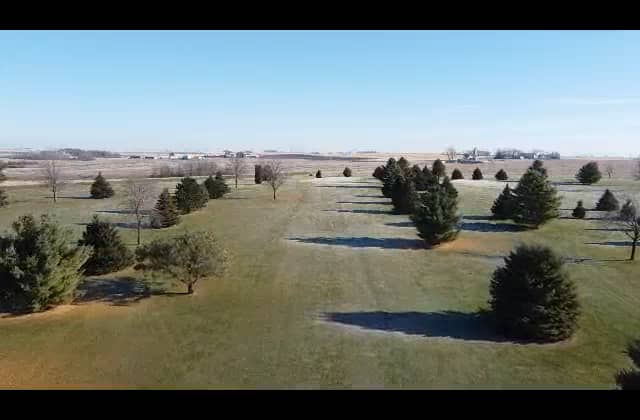 MAPLE HEIGHTS 1 on Vimeo