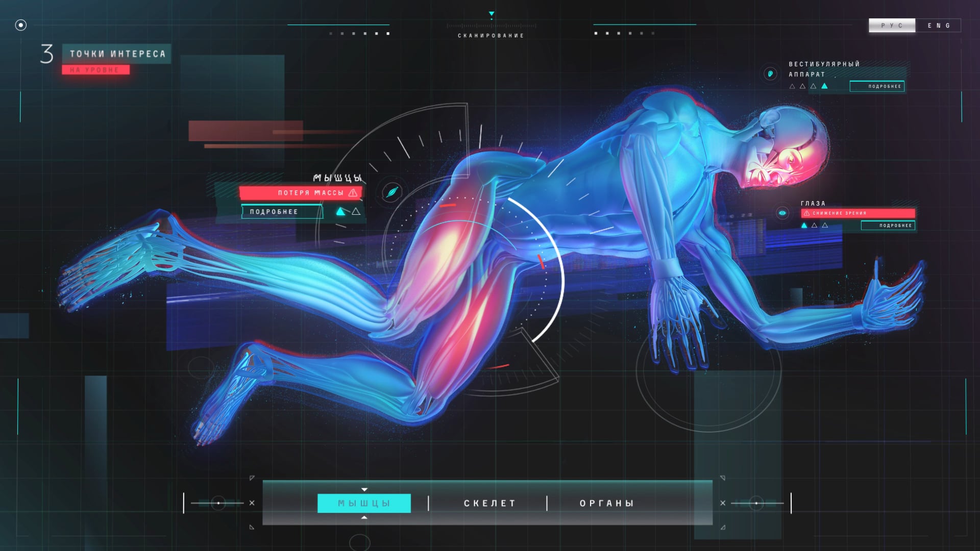 Interactive Screen Anatomy on Vimeo